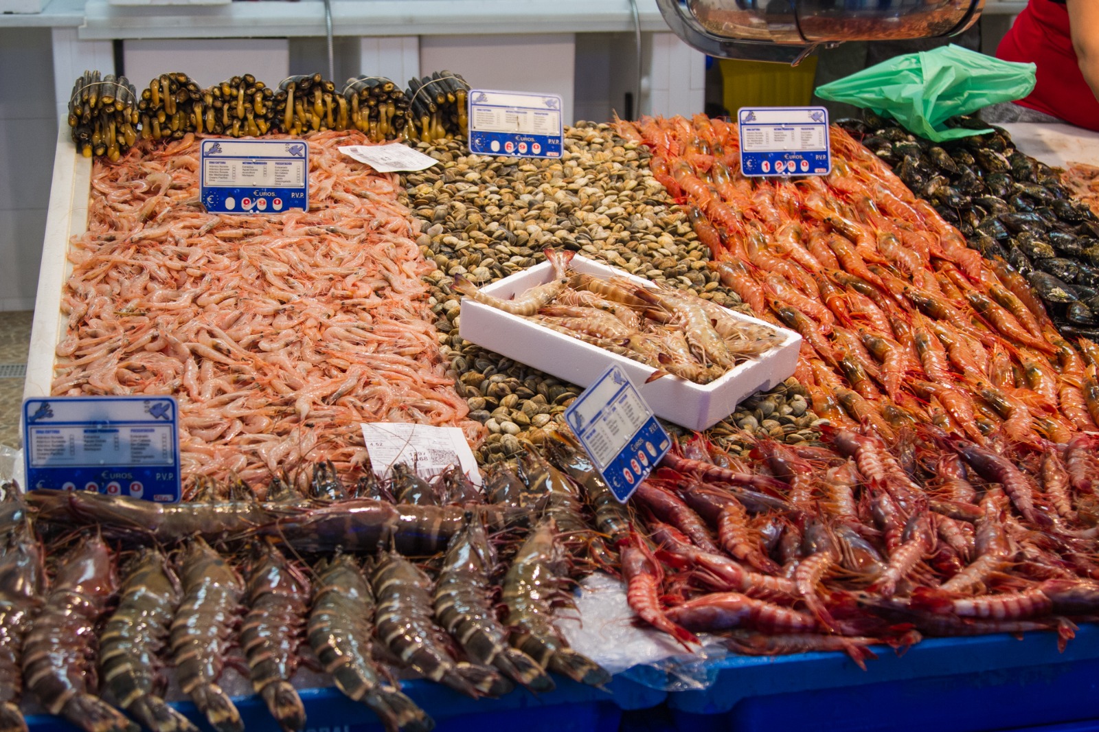 Ayudas a la comercialización de productos pesqueros - Condavisión